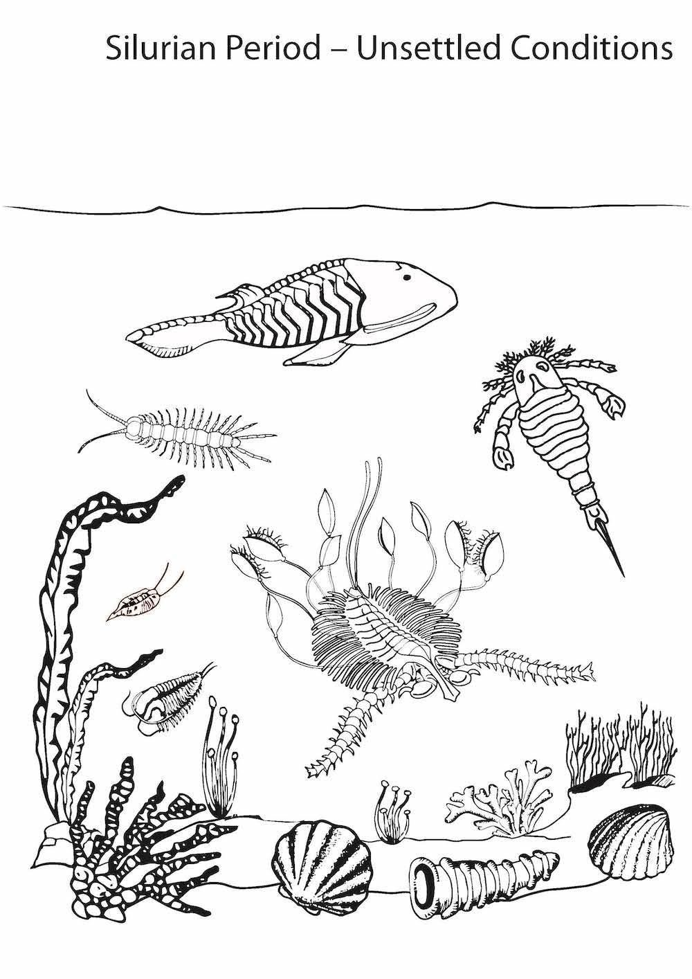 Silurian Period (Paleozoic 3) – Cornwall Sea to Stars