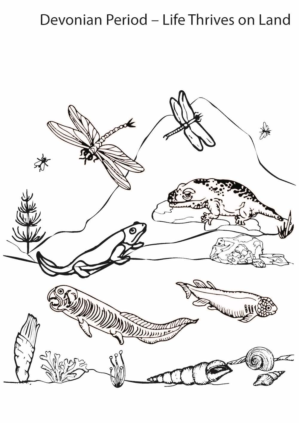 Devonian Period (Paleozoic 4) – Cornwall Sea to Stars