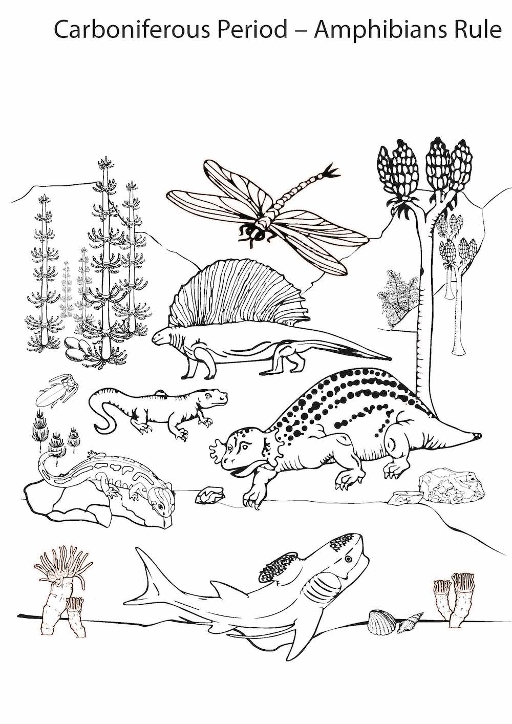 Carboniferous (Paleozoic 5) – Cornwall Sea to Stars
